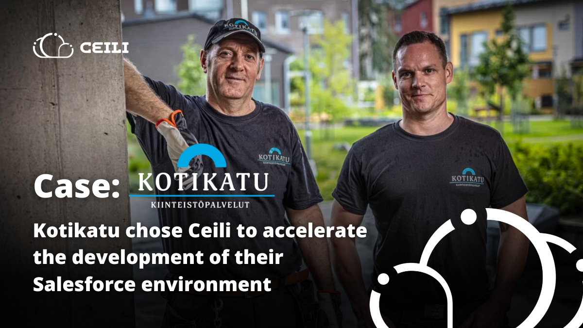 Accelerate the development of Salesforce environment - Ceili